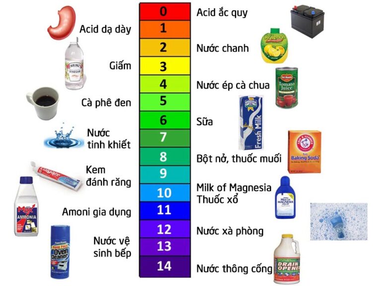 Độ pH là gì? Cách tính độ pH & Độ pH của một số dung dịch