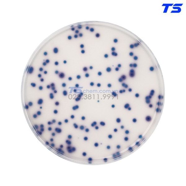 #1 Bán Môi trường vi sinh Coliform Agar - 110426 - Merck giá rẻ ở hcm